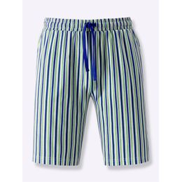 WITT Herren Hose kurz, royalblau-apfel-gestreift, Gr&ouml;&szlig;e 60/62