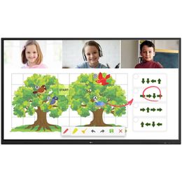 LG CreateBoard 75TR3DJ-B Touch Display 190cm 75 Zoll
