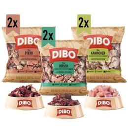 DIBO Frostfutter Exklusive Proteine Bundle
