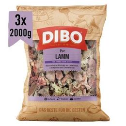 DIBO Frostfutter Lamm 3x2 kg