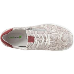 Waldl&auml;ufer Waldl&auml;ufer Damen Sneaker mit Schlangenmuster, Leder, elfenbein-bedruckt, Gr&ouml;&szlig;e 5
