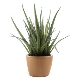 Casa Nova Kunstpflanze Aloe Vera