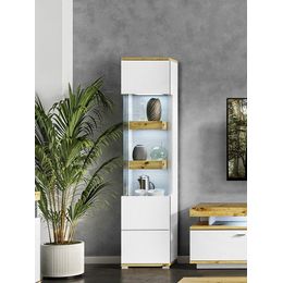 Vitrine Harper CRAWLEY