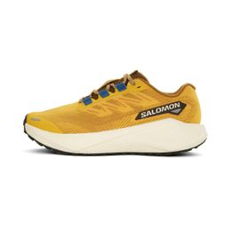 Salomon Aero Blaze 3 GRVL Herren