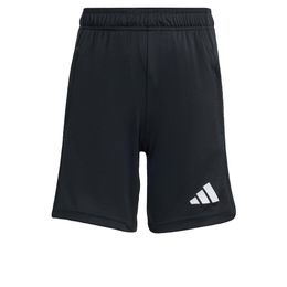 adidas Performance Workout Pants 'Entrada26' boy Black size 104