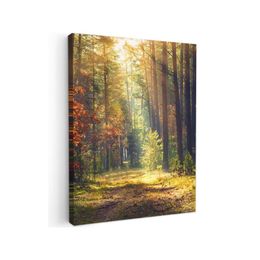 MuchoWow Leinwand bilder Waldpfad (BxH) | Gr.: 20 x 30 cm