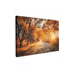 MuchoWow Leinwand bilder Waldweg (BxH) | Gr.: 30 x 20 cm