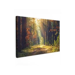 MuchoWow Leinwand bilder Waldpfad (BxH) | Gr.: 80x60 cm