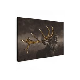 MuchoWow Leinwand bilder Hirsch (BxH) | Gr.: 90 x 60 cm