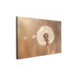 MuchoWow Leinwand bilder Nahaufnahme Flaum (BxH) | Gr.: 30 x 20 cm