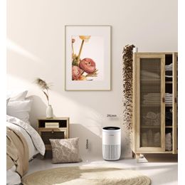 Bosch Luftreiniger "Air 4000, filtert &uuml;ber 99% der Schadstoffe", B:29,1cm H:50cm T:29,1cm &Oslash;:29,1cm, wei&szlig;, Schlafzimmer, Luftreiniger, mit 3-in-1