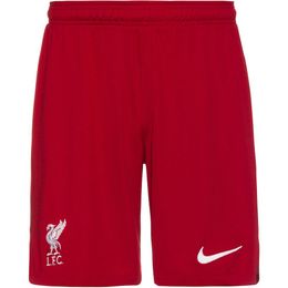 Nike Workout Pants 'FC Liverpool 22-23' male Red size XXXL
