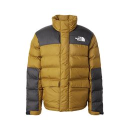 The North Face Winter Jacket 'Limbara' male Yellow size S