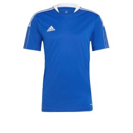 adidas Sportswear Trikot 'Tiro 21 ' Herren Gr&ouml;&szlig;e XL royalblau / wei&szlig;