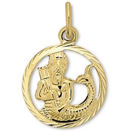 Sternzeichenanh&auml;nger ONE ELEMENT "Sternzeichen Anh&auml;nger aus 333 Gelbgold", gold, Schmuckanh&auml;nger, Damen, Wassermann, Steinbock, Gelbgold 333 Gold, Gelbgold 333, Gold, Symbol mit Herz &ndash; ein feines Geschenk f&uuml;r viele Anl&auml;sse