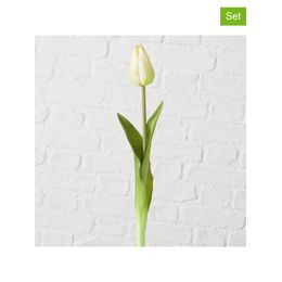 Boltze 2er-Set: Kunstblumen "Tulpe" in Creme/ Gr&uuml;n - (H)42 cm - 53% | Kerzen-vasen
