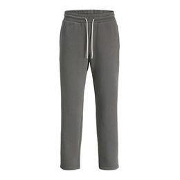 Jack & Jones Jack & Jones Pants 'JPSTKarl Caspar' male Grey size L