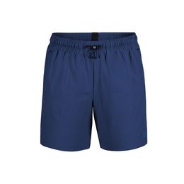 arena Board Shorts 'Evo' male Blue size S