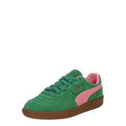 Puma Sneaker 'Palermo' Gr&ouml;&szlig;e 22 schilf / hellpink