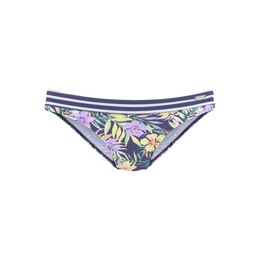 Venice Beach Bikini Bottoms female Blue size 34