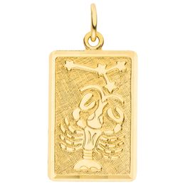 Sternzeichenanh&auml;nger Jobo "Sternzeichen eckig mit Sternbild 20 mm", gelbgold 333, Schmuckanh&auml;nger, Damen, Krebs, Gelbgold 333, 8 Karat 333 Gold