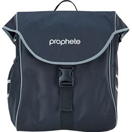 Prophete Fahrradtasche "Seitenpacktasche", B/H/T: 34,5cm x 34,5cm x 15cm, schwarz, Taschen