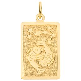 Jobo Damen Sternzeichenanh&auml;nger "Sternzeichen eckig mit Sternbild 20 mm", Fische, Gelbgold 333gelbgold 333, Gelbgold 333, Schmuckanh&auml;nger, 8 Karat