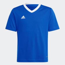 Jungen Fu&szlig;balltrikot "ENT22 JSY Y", blau, Gr. 152, adidas Performance, Obermaterial: 100% Polyester, Trikots