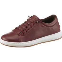 Andrea Conti Damen Sneaker burgund, Gr&ouml;&szlig;e 37