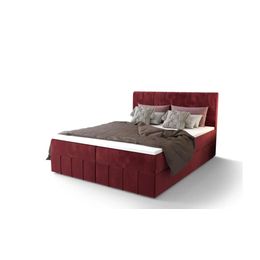 M&ouml;bel Kraft Boxbett rot Ma&szlig;e (cm): B: 140 H: 102 &raquo; M&ouml;bel Kraft