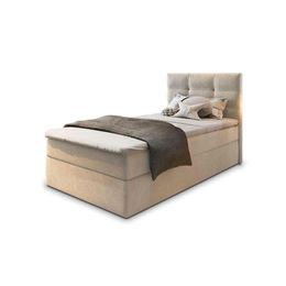 MASSENO Boxbett mit Bettkasten beige Ma&szlig;e (cm): B: 80 H: 98 &raquo; M&ouml;bel Kraft