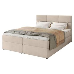 M&ouml;bel Kraft Boxbett Boston beige Ma&szlig;e (cm): B: 140 H: 102 &raquo; M&ouml;bel Kraft