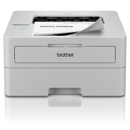 Brother HL-L2865DW Laserdrucker s/w