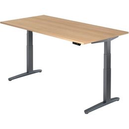 Hammerbacher VXBHM2E/E/GG h&ouml;henverstellbarer Schreibtisch 65,0 - 130,0 cm - elektrisch eiche / grafit