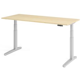 Hammerbacher XBHM19 h&ouml;henverstellbarer Schreibtisch 65,0 - 130,0 cm - elektrisch ahorn / silber