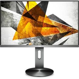 Bildschirm 24" LCD FHD AOC I2490PXQU/BT