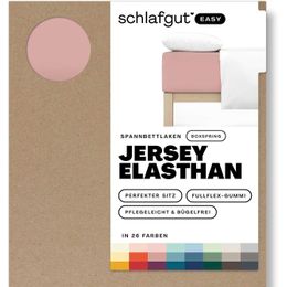 Spannbettlaken Schlafgut "EASY Jersey Elasthan Boxspring", lila (lila mid), 1 Stk., Jersey, 90-100x200-220 40, Jersey, Obermaterial: 95% Baumwolle, 5% Elasthan, Bettlaken, Spannbettlaken, MADE IN GREEN by OEKO-TEX