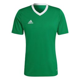 adidas Performance Shirt 'Entrada 22' Herren Gr&ouml;&szlig;e XXL grasgr&uuml;n / wei&szlig;