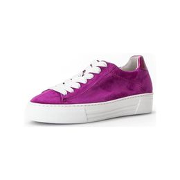 Gabor Sneakers female Purple size 43