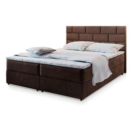 MASSENO Boxbett mit Bettkasten Kerlo braun Ma&szlig;e (cm): B: 140 H: 98 &raquo; M&ouml;bel Kraft