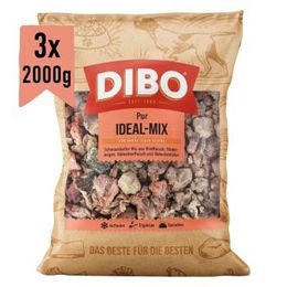 DIBO Frostfutter Ideal-Mix 3x2 kg