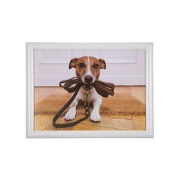 MARS & MORE Mars & More Tablett "Jack Russell" in Wei&szlig; - (B)43 x (H)43 cm - 36% | Aufbewahren-servieren