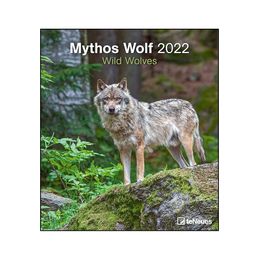 NEUMANNVERLAGE Fotokalender "Mythos Wolf 2022" - 50% | Buero-schulbedarf