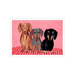 Poster & Frame Kunstdruck "Dachshunds" - 28% | Gr&ouml;&szlig;e 50x70 cm | Wanddekoration