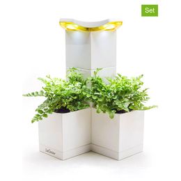 Designnest 7tlg. Set: Blument&ouml;pfe ''Le Grow'' in Wei&szlig; - (B)17 x (H)31 x (T)17 cm - 43% | Kerzen-vasen