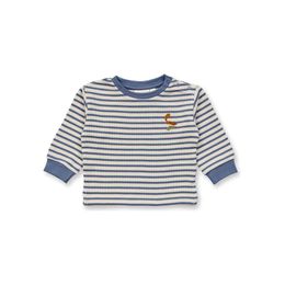 Sense Organics Longsleeve "Piloo" in Blau/ Grau - 34% | Gr&ouml;&szlig;e 80 | Baby-langarmshirts