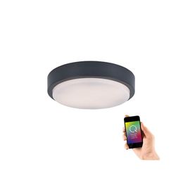 Just Light LED-Deckenleuchte "Q-Lenny" in Schwarz - (H)7,5 x &Oslash;36,4 cm - 64% | Haengeleuchten-deckenleuchten