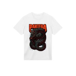 F4NT4STIC T-Shirt 'Pantera Venomous Snake' Herren Gr&ouml;&szlig;e S rot / schwarz / wei&szlig;