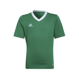adidas Performance Performance Shirt 'Entrada 22' boy Green size 152
