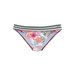 Venice Beach Bikini Bottoms female Mixed colors size 38